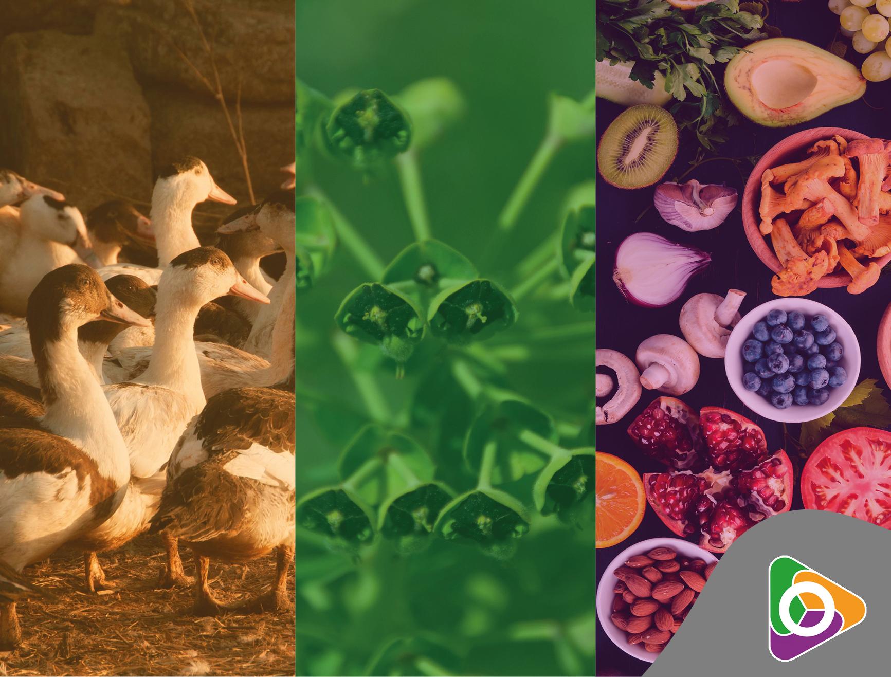 Communication | Plateforme ESV